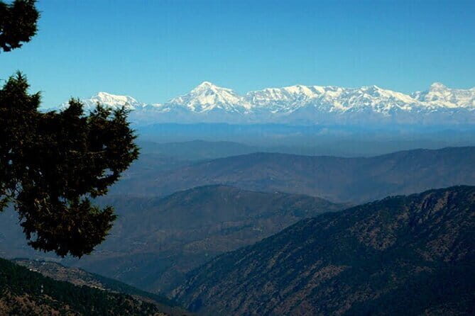 Explore the best of forest & nature in Nainital (4.5 hours Guided Tour) - Authentic Experiences and Unique Insights