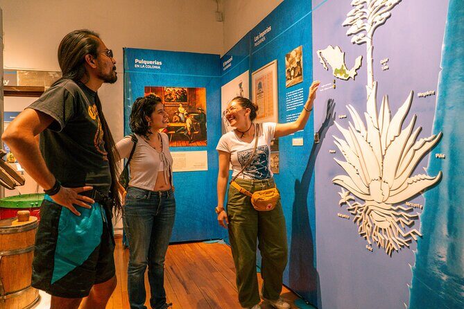 Explore the Best Pulquerías A Taste of Traditional Mexican Drink - Value and Experience: What We Think