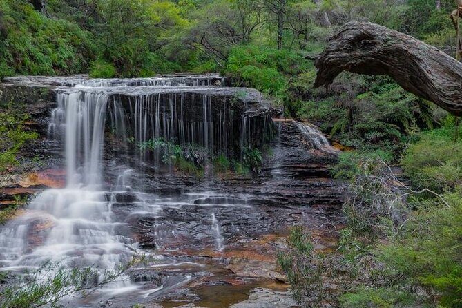 Explore The Blue Mountains with your local guide - Full Day Tour - Who Would Love This Tour?