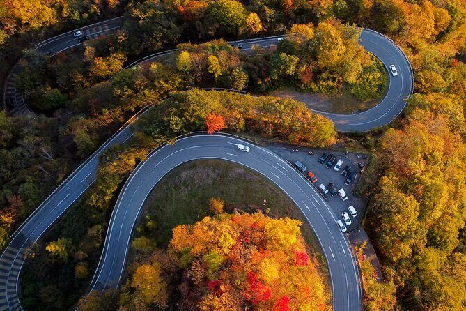 Explore the Culture and History of Nikko with this Private Tour - The Practicalities: Logistics, Value, and Experience