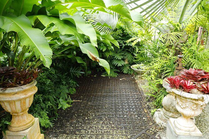 Explore the Enchanted Gardens of Barbados - The Sum Up