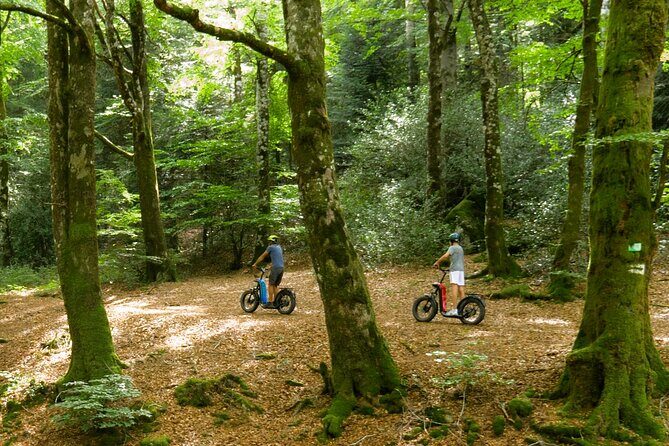 Explore the forests of Haut Languedoc on an electric scooter - What Makes the Itinerary Special?