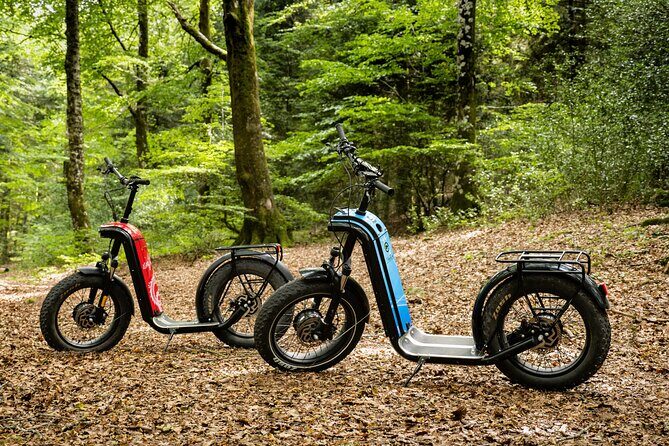 Explore the forests of Haut Languedoc on an electric scooter - Practicalities and Value