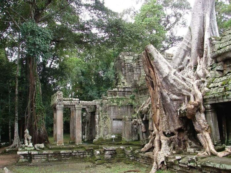 Explore the Grand Circuit Angkor Temples Private Tour - The Sum Up