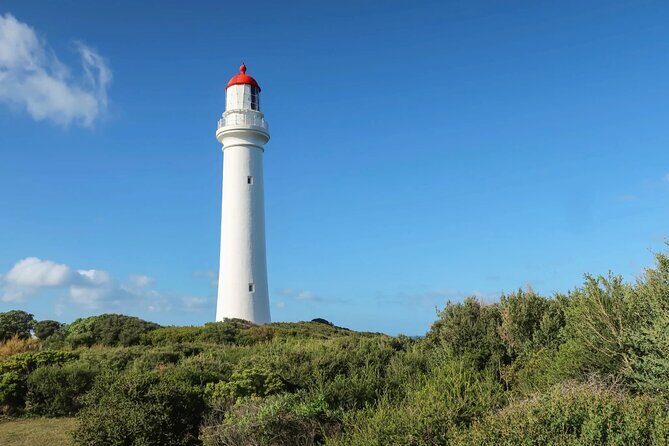 Explore the Great Ocean Road a Coastal Adventure - The Sum Up: Who Is This Tour Best For?