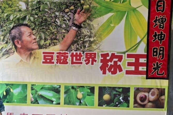 Explore The Hidden Gem of Penang at Balik Pulau - Practical Details & What They Mean for You