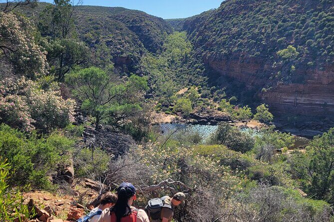 Explore the Hidden Gorges: Kalbarri 4WD, Hike, Canoe Experience - Is This Tour Worth It?