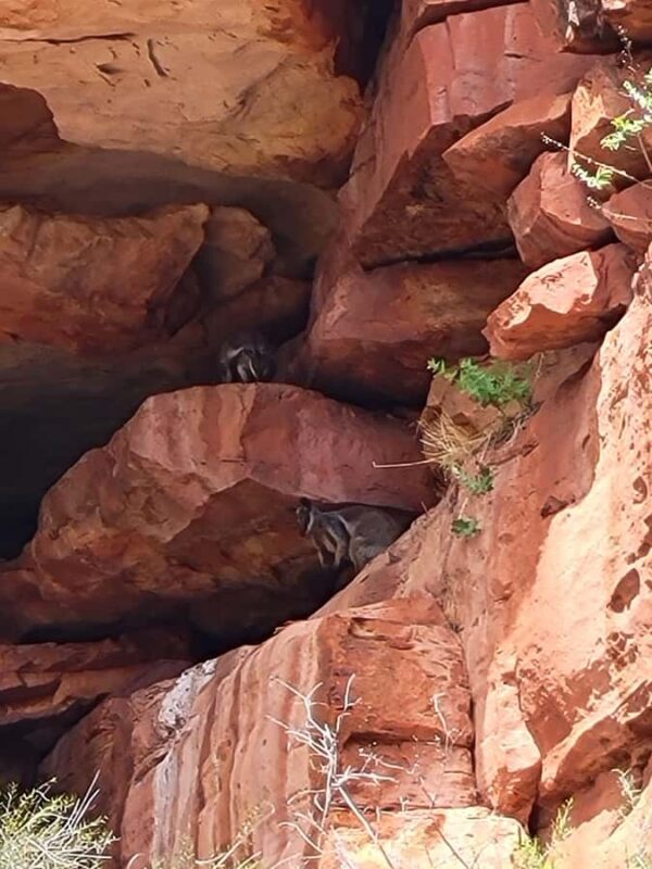 Explore the Hidden Gorges: Kalbarri N.P, 4WD, Hike, Canoe - Discovering Kalbarris Hidden Gorges