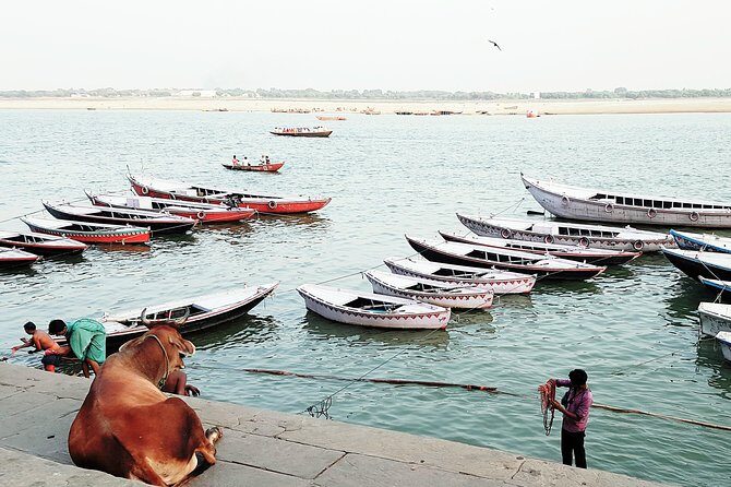 Explore the Highlights of Varanasi - An Introduction to Varanasi by Foot
