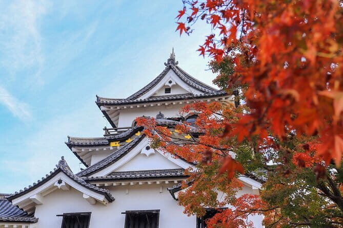 Explore the Historic Castle Town of Hikone from Kyoto - Key Points
