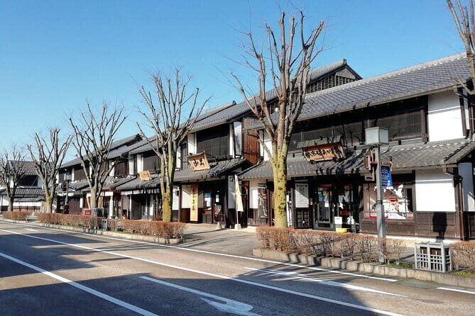Explore the Historic Castle Town of Hikone from Kyoto - Return to Kyoto: A Relaxed Journey Back