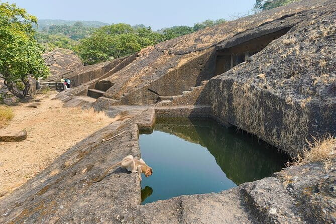 Explore The Kanheri Caves : The Ancient Buddhist Settlement - Practical Tips for Your Visit