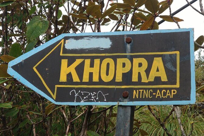 Explore the Khopra Ridge: A Stunning Trek Experience Amidst the Himalayan Beauty - An In-Depth Look at the Khopra Ridge Trek