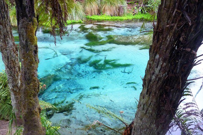 Explore The Lakes Tour - An Authentic Look at Rotorua’s Water Wonderland