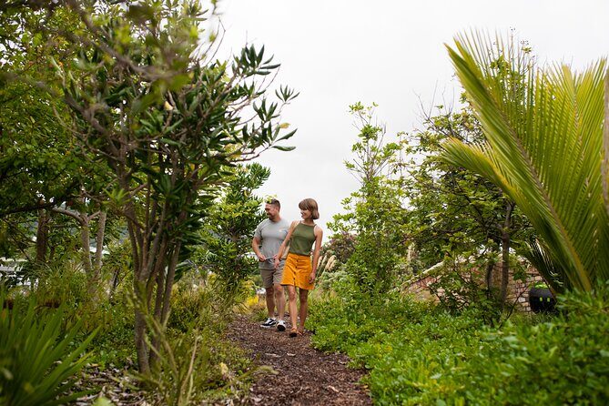 Explore the legacy of artist, ecologist, architect, visionary - FAQs