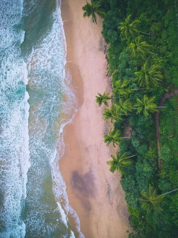 Explore the MAGIC of Sri Lanka in 7days -4 Star hotels Incl. - Exploring the Magic of Sri Lanka in 7 Days: An In-Depth Review