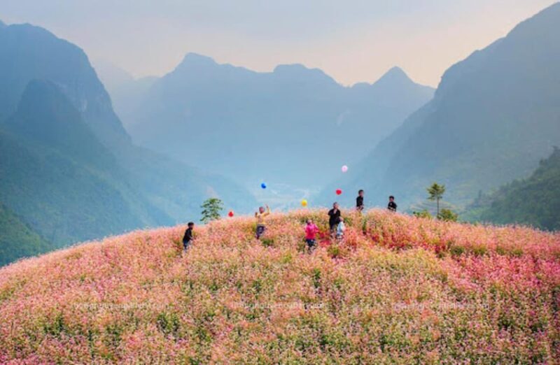 Explore the majestic Ha Giang with direct bus from Ha Noi - Final Thoughts