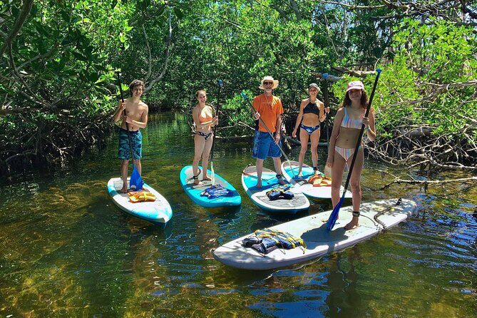 Explore the Mangrove Creeks with an ALL Day Tandem Kayak Rental - Value and Booking
