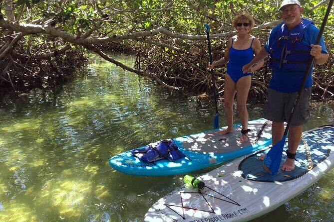 Explore the Mangrove Creeks with an ALL Day Tandem Kayak Rental - Frequently Asked Questions