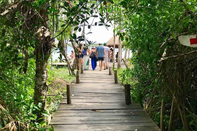 Explore the Mayan Jungle in Tulum. 2 Cenotes, Kaan Luum Lagoon - FAQs