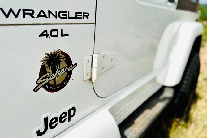 Explore the Medina River Valley on a Rugged Jeep with a Guide - Authentic Experiences and Unique Highlights