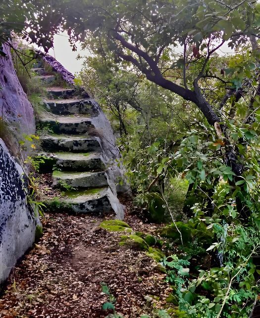 Explore the Murgia Materana UNESCO Park (Italiano & Espanol) - What to Expect from the Murgia Materana UNESCO Park Tour