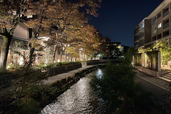 Explore the Night Life of Kyoto with Japanese Guide by E-bike - Why Choose This Tour?