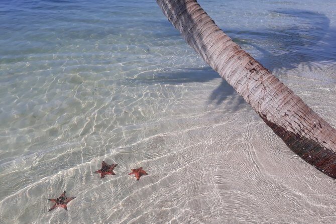 Explore the north of Phu Quoc island by Classical US Army Jeeps - Who Should Consider This Tour?