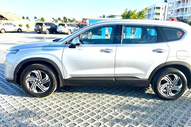 Explore the North & South of Bonaire on your own pase (Private) - An In-Depth Look at the Experience