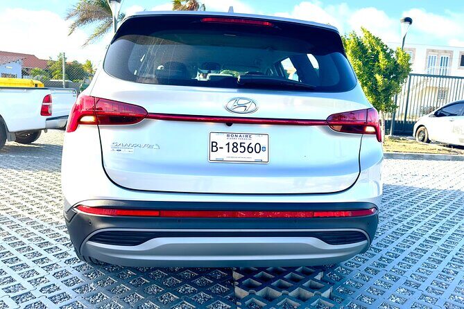 Explore the North & South of Bonaire on your own pase (Private) - The Sum Up