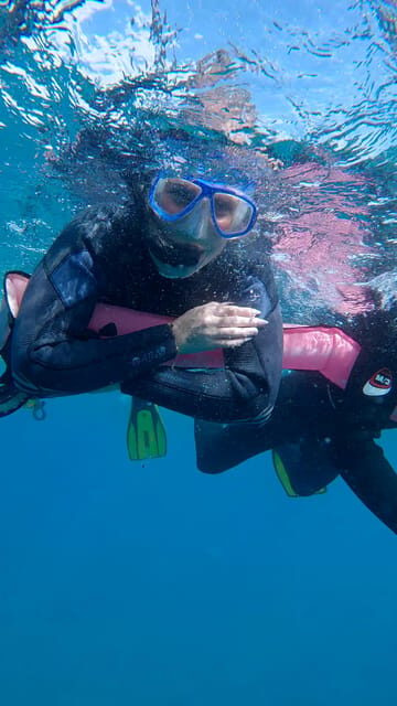 Explore the ocean - Snorkeling for Beginners Los Cristianos - The Value of the Experience