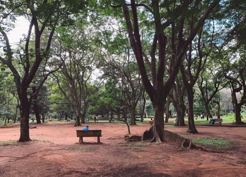 Explore the Old Bangalore City: Guided Tour with Tuktuk - Who Will Love This Tour?