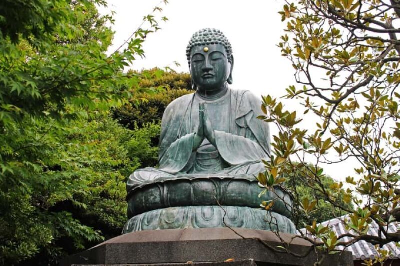 Explore the Old Town of Tokyo: Guided Walking Tour on Foot - Hidden Streets and Traditional Houses