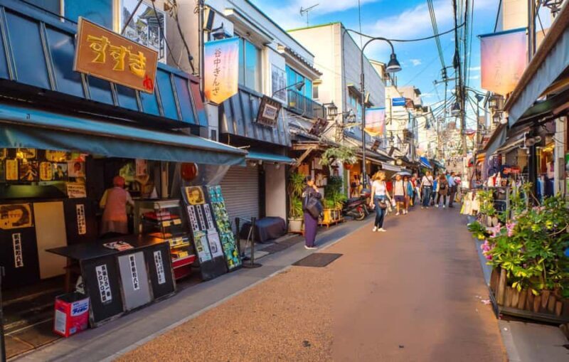 Explore the Old Town of Tokyo: Guided Walking Tour on Foot - The Role of Nezu Shrine