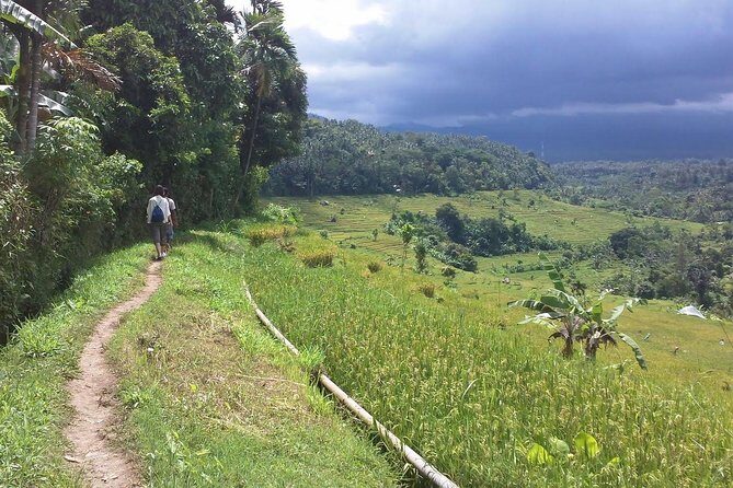Explore The Original of Bali Nature with Kastala Trekking Including Lunch - An In-Depth Look at the Trekking Experience
