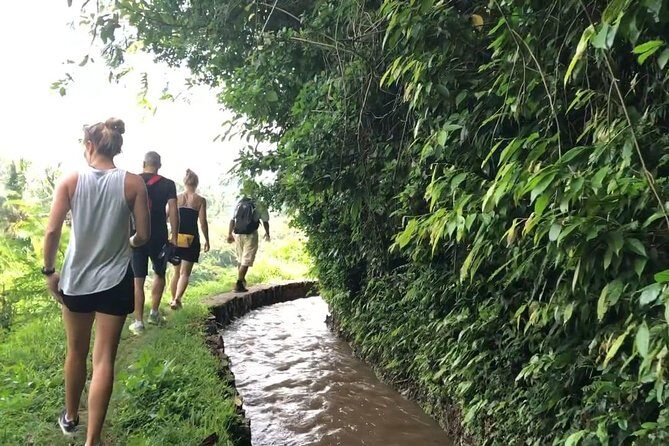 Explore The Original of Bali Nature with Kastala Trekking Including Lunch - Who Will Enjoy This Tour?
