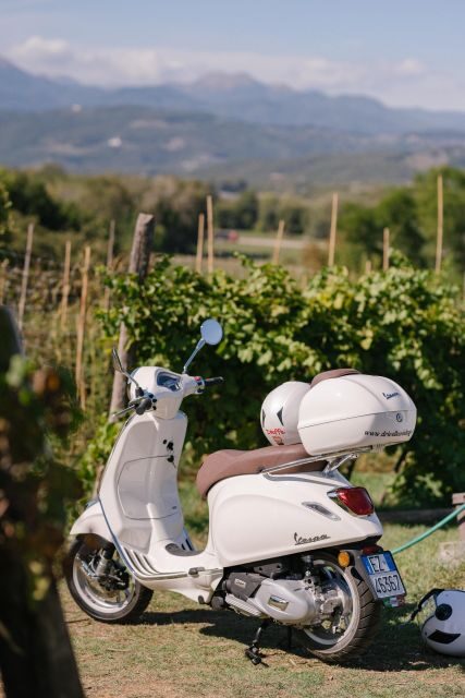 Explore the Rolling Hills of Lucca on a Vespa 125 Primavera - Key Points