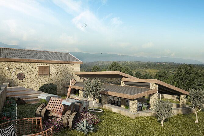 Explore the Secrets of Wine and Olives - Transparency and Booking