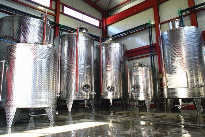 Explore the Secrets of Wine and Olives - Frequently Asked Questions