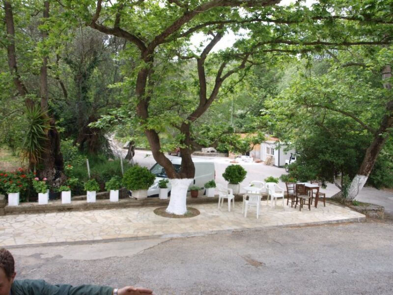 Explore the Secrets of Wine and Olives in Chania - Pricing, Value, and What’s Included