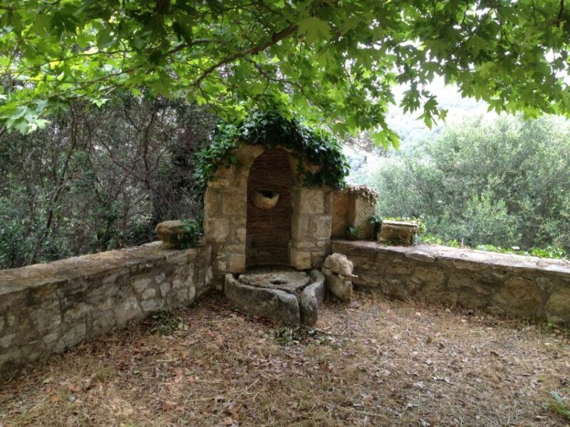 Explore the Secrets of Wine and Olives in Chania - FAQ