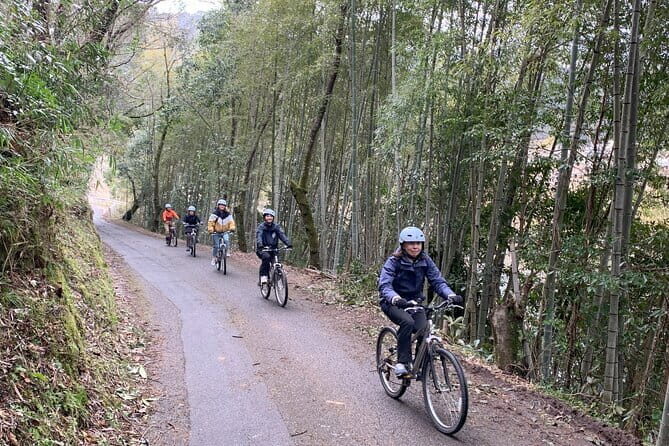 Explore the Shimanto River by Local Train and Bicycle - Cycling Along the River