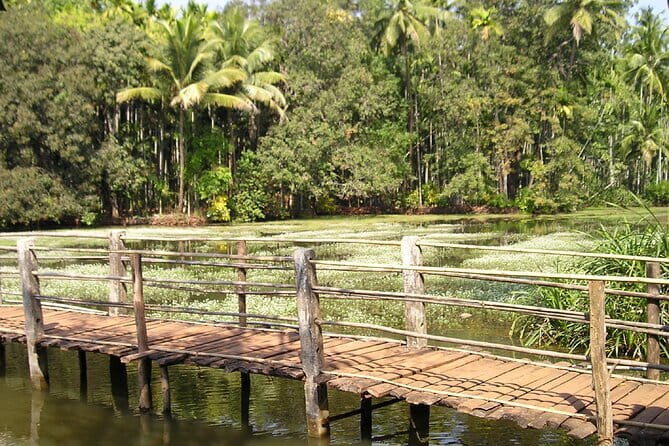 Explore The South Goa Full-Day City Sightseeing Tour - Final Thoughts