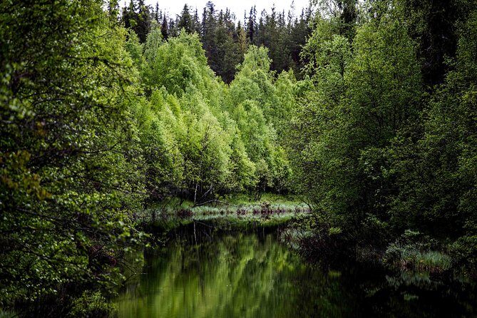 Explore the Wilderness (Summer & Autumn) - Key Points