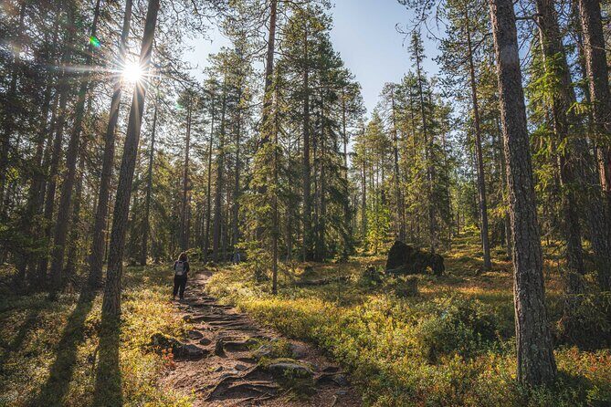 Explore the Wilderness (Summer & Autumn) - Who Should Consider This Tour?