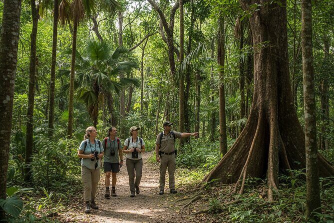 Explore the Wonders of New Caledonia from Noumea Cruise Terminal - Introduction: Tailored for Cruise Passengers Seeking Natural Beauty