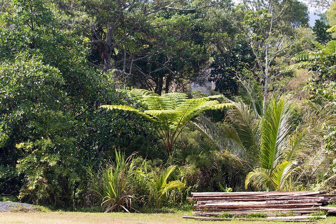 Explore the Wonders of New Caledonia from Noumea Cruise Terminal - Why This Tour Offers Real Value