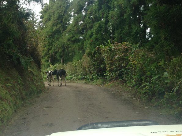 Explore the Wonders of Sete Cidades & West side on a Jeep Tour - In a Nutshell
