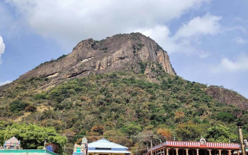 Explore Thirumoorthy Hills: Dam, Temple & Falls in One Day - Who This Tour Is Perfect For