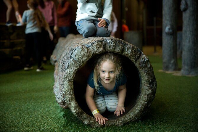 Explore Ticket to Fritz's in Branson - Final Thoughts: Is Fritz’s Adventure Worth It?